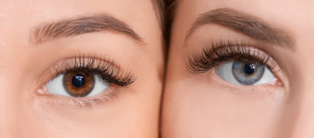 Cat Eye vs Doll Eyes Extensiones de Pestañas: ¿Cuál es la diferencia ...